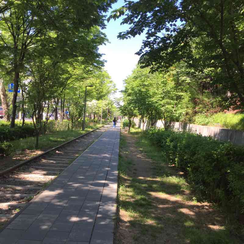 Gyeongchun track and forest path. Walk - Nowon-gu, Seoul, South Korea ...