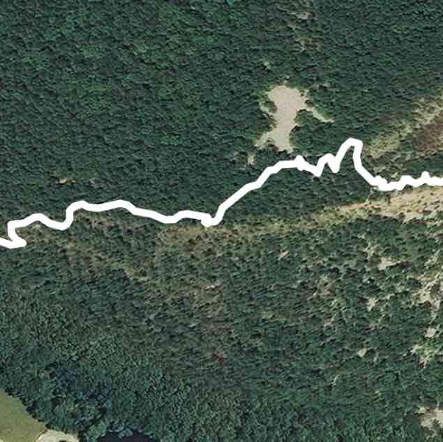 Pinnacle Walk Trail - Roland, Arkansas, USA | Pacer