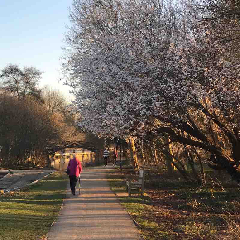 Iffley Meadows walk Trail - Oxford, England | Pacer