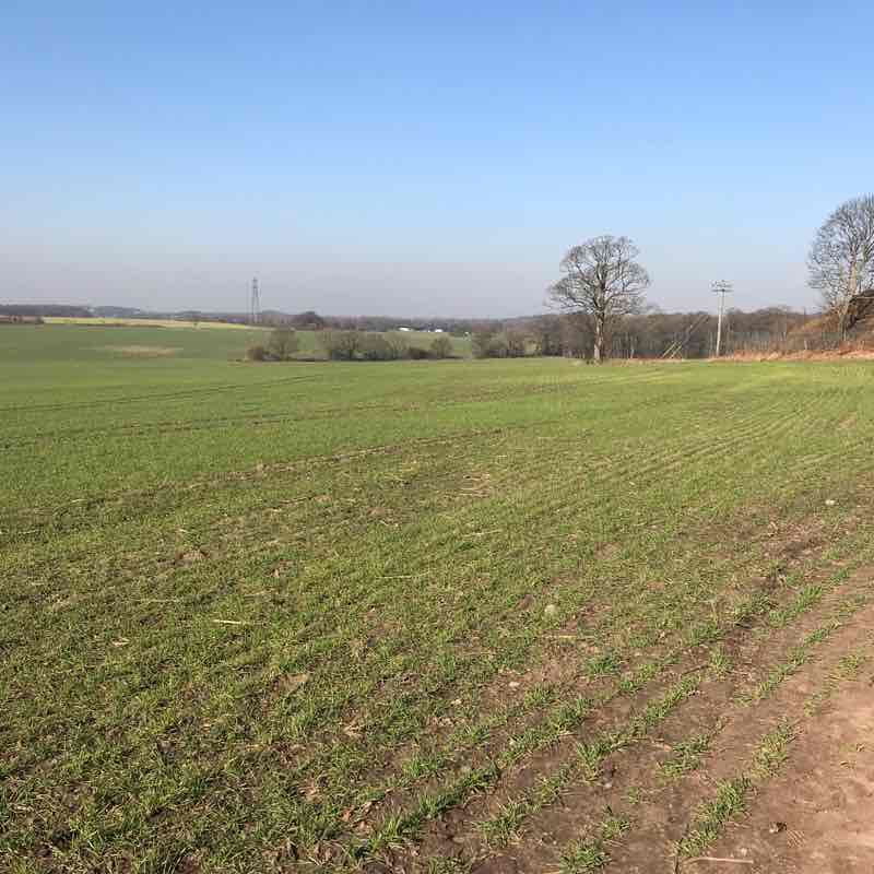 Pex Hill Sendero - Halton, Widnes, Inglaterra | Pacer