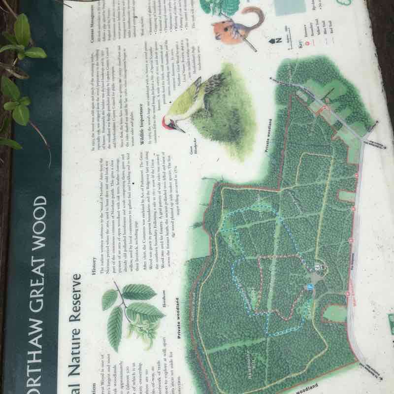 The Great North Wood Walk Trail - Northaw, Potters Bar, England | Pacer