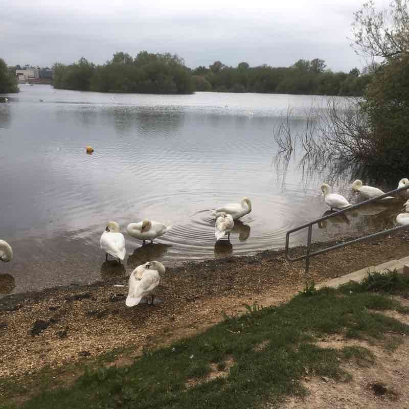 Rushden Lakes Nature Loop Walk Trail - England | Pacer