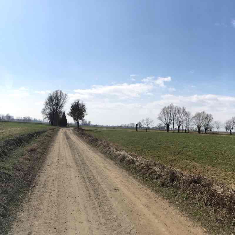 Reserve None | Walking Map