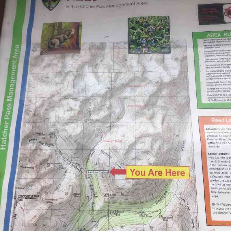 Snowbird Mine Ruins Hike Trail - Palmer, Alaska, USA | Pacer