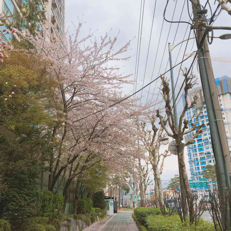 출그ㄴ | Walking Map