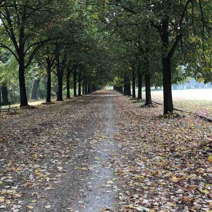 Collection Walk Trail - Turin, Province of Turin, Italy | Pacer