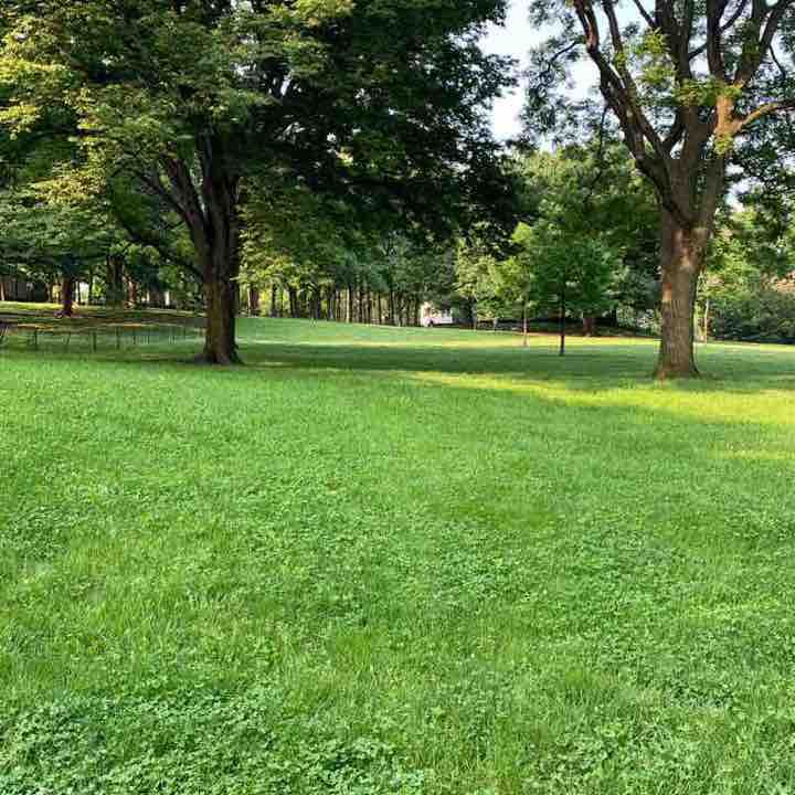 Walk to Fort Greene Park - New York City, New York, USA | Pacer