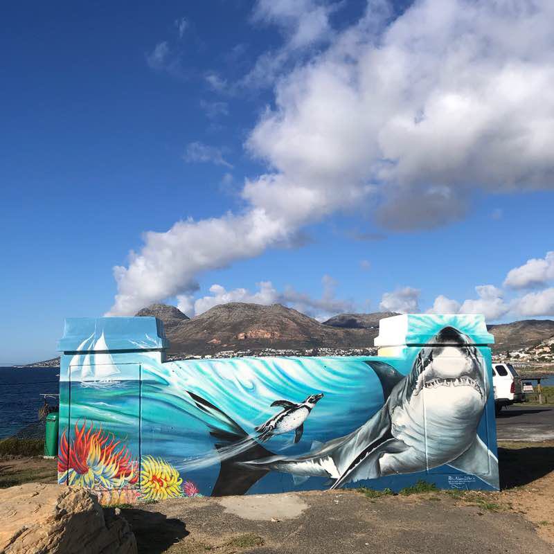 Around the Fish Hoek Berg from beach to beach in Western Cape | Walking Map