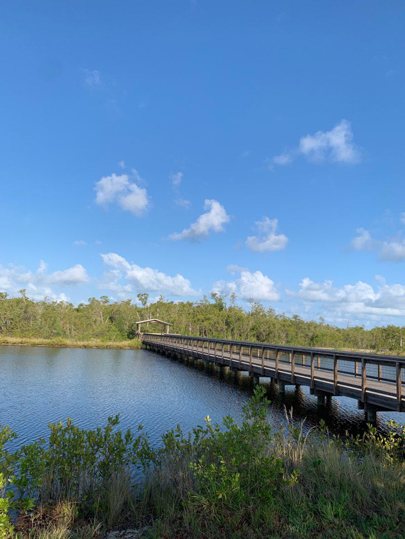 Gordon River Walk Trail - Naples, Florida, USA | Pacer