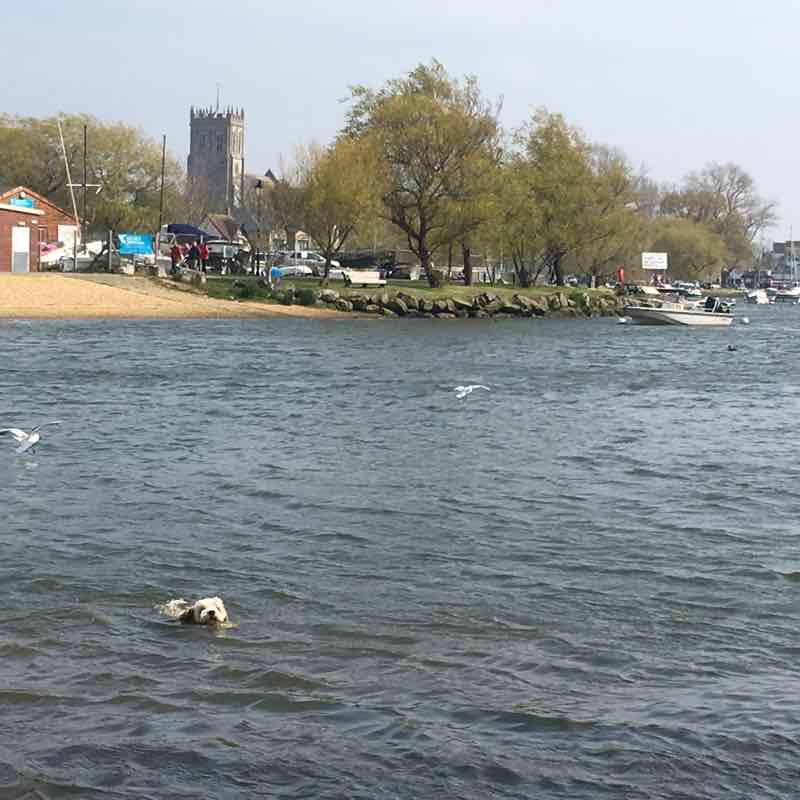 Stanpit Marsh nach Hengistbury Head mit der Fähre | Walking Map