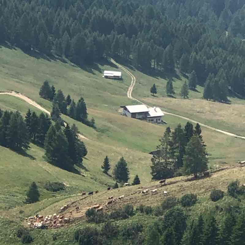 Lusia - Malga Bocche Walk Trail - Predazzo, Trento, Italy | Pacer