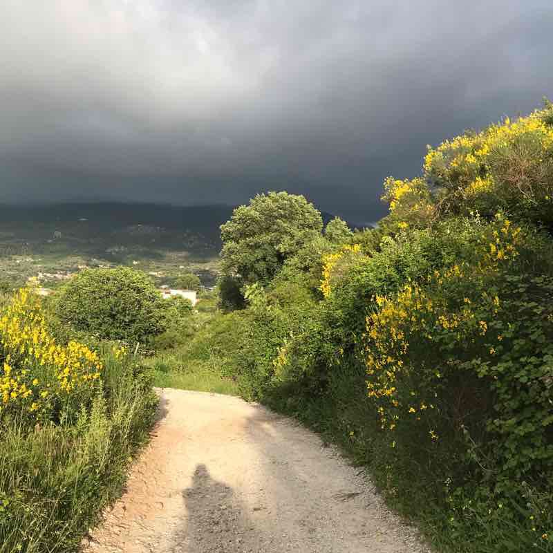 Volujica in Opština Bar | Walking Map