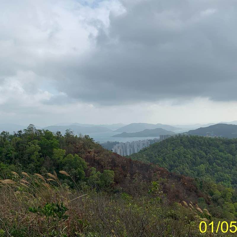 Parc Lam Tin Marche - Kwun Tong, Hong Kong | Pacer