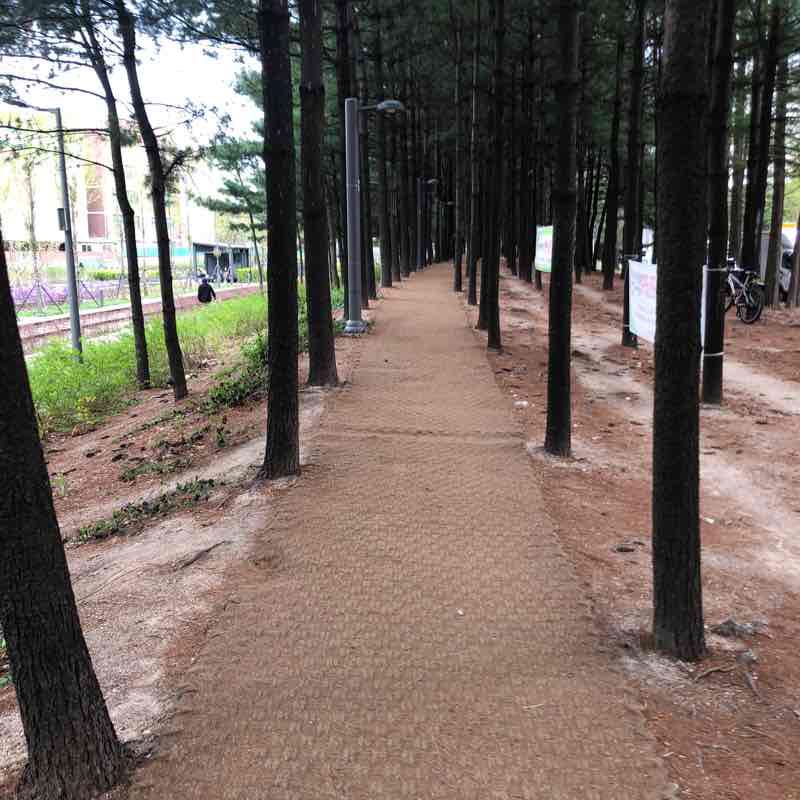 Gyeongchun Line Forest Road in Seoul | Walking Map