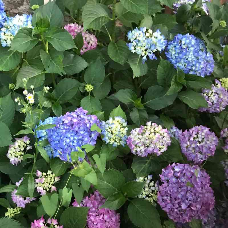 Small digestive walk in Nouvelle-Aquitaine | Walking Map