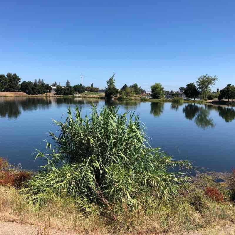 캠벨 크릭 트레일 세그먼트 산책로 - Campbell, 캘리포니아 주, 미국 | Pacer