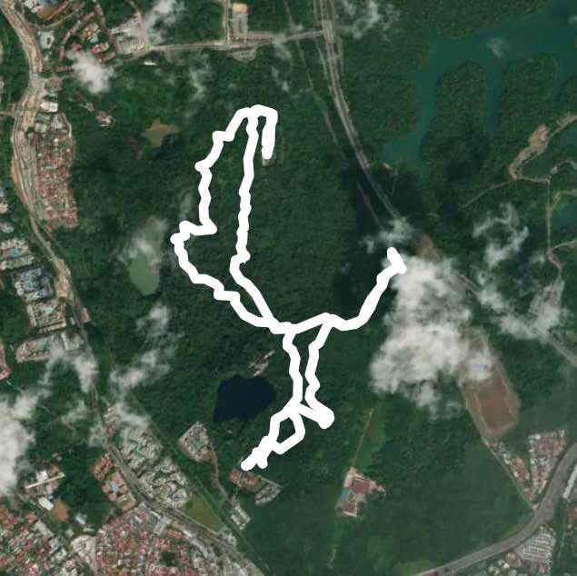 Bukit Timah Nature Reserve | Walking Map