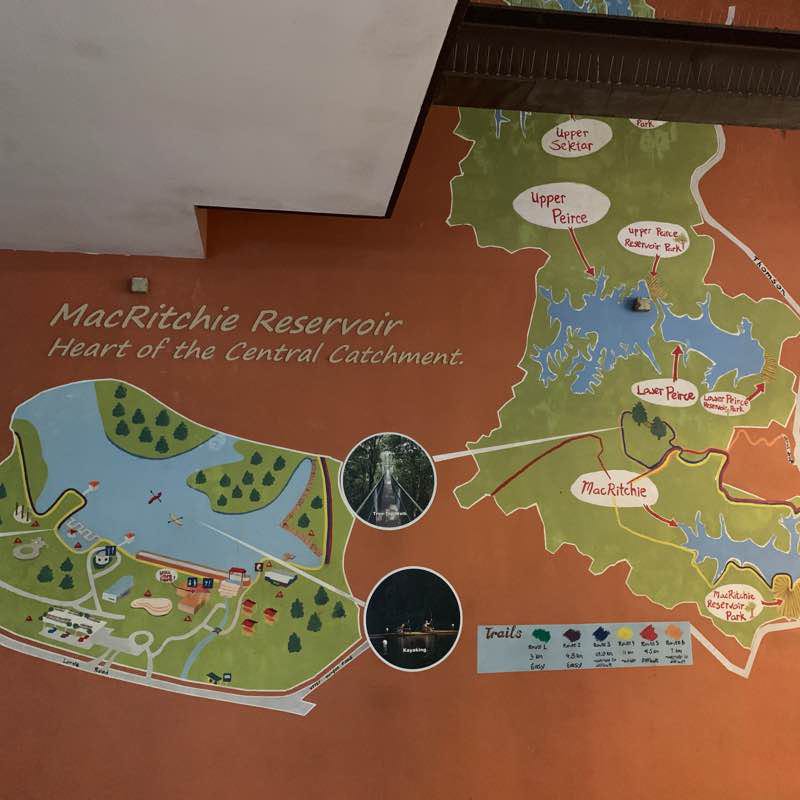 Macritchie Treetop Walk Trail - Singapore, Central Region | Pacer