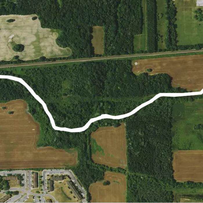 Davison trail Walk - Michigan, USA | Pacer