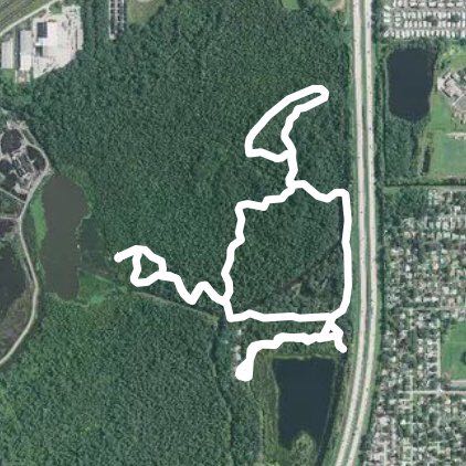 Sawgrass Park #1-Pinellas Co Fl Walk - St. Petersburg, Florida, USA | Pacer