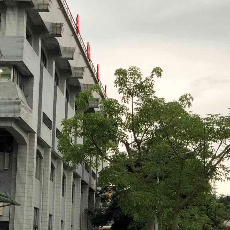 Evening walk (Wanfang Community MRT Station - Jingmeiheti - Political ...