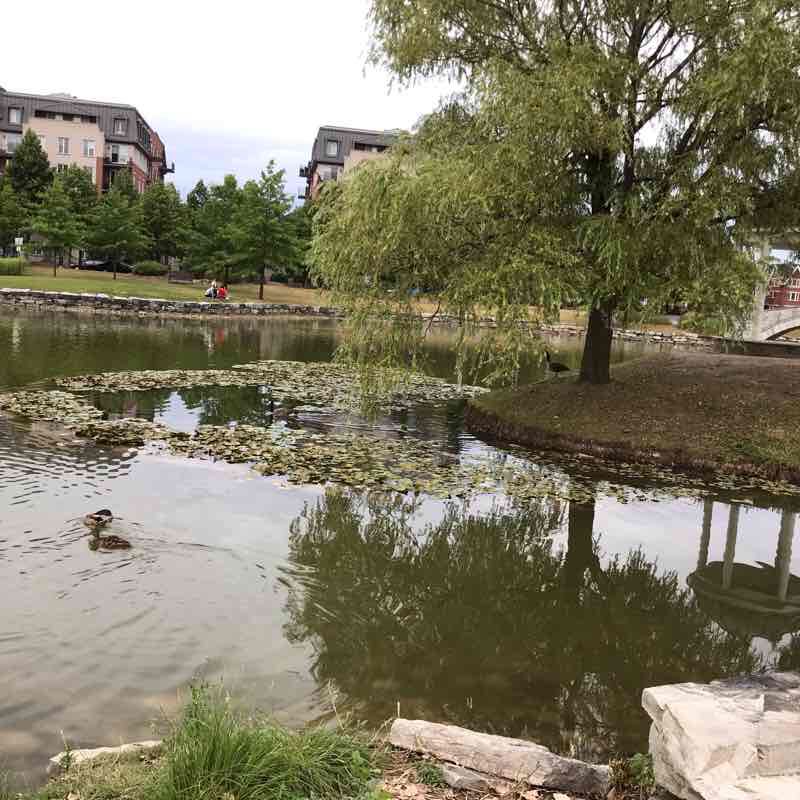 August 18 | Walking Map