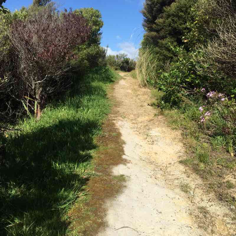 1.40 Km Route in Paremata-Pauatahanui, 5024, Porirua, Wellington Region ...