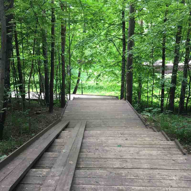 City Slides + Dendro Park Walk - Moscow, Russia | Pacer