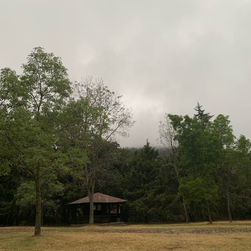 Club Monte Sur Walk Trail - Mexico City, Mexico | Pacer