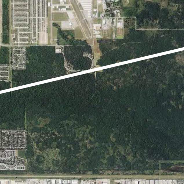 Cullen Park 1 Walk - Houston, Texas, USA | Pacer