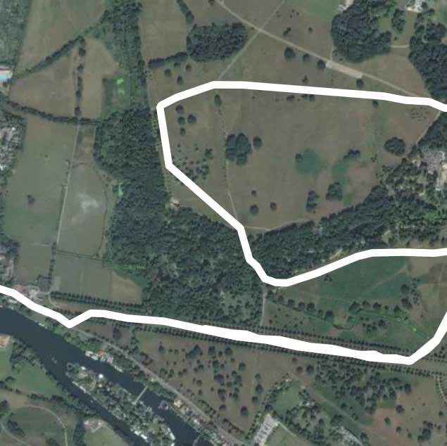 Bushy Park Run - Hampton, England | Pacer
