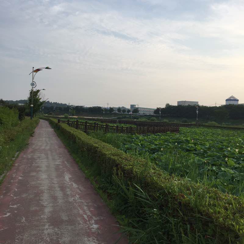 Jochiwon stream Cycle Trail - Sejong-si, Sejong City, South Korea | Pacer