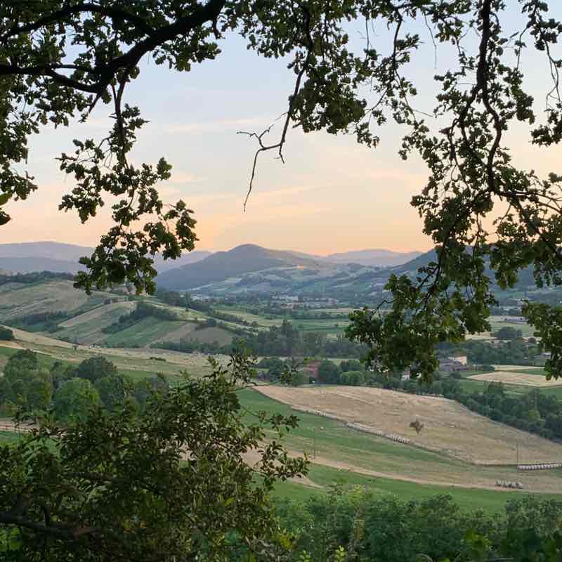 Castillo de felino Sendero - Parma, Italia | Pacer