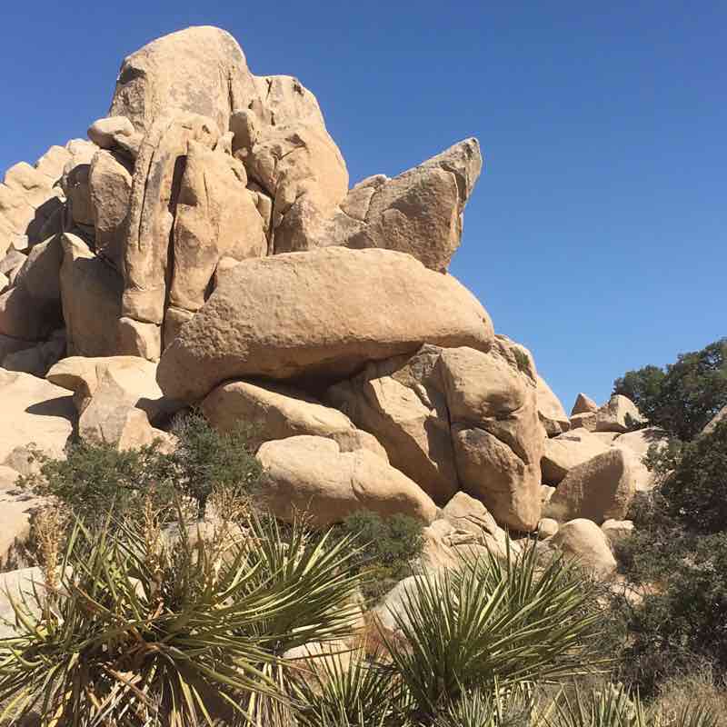 Hidden Valley Nature Trail at Joshua Tree NP Walk - Blythe, California ...