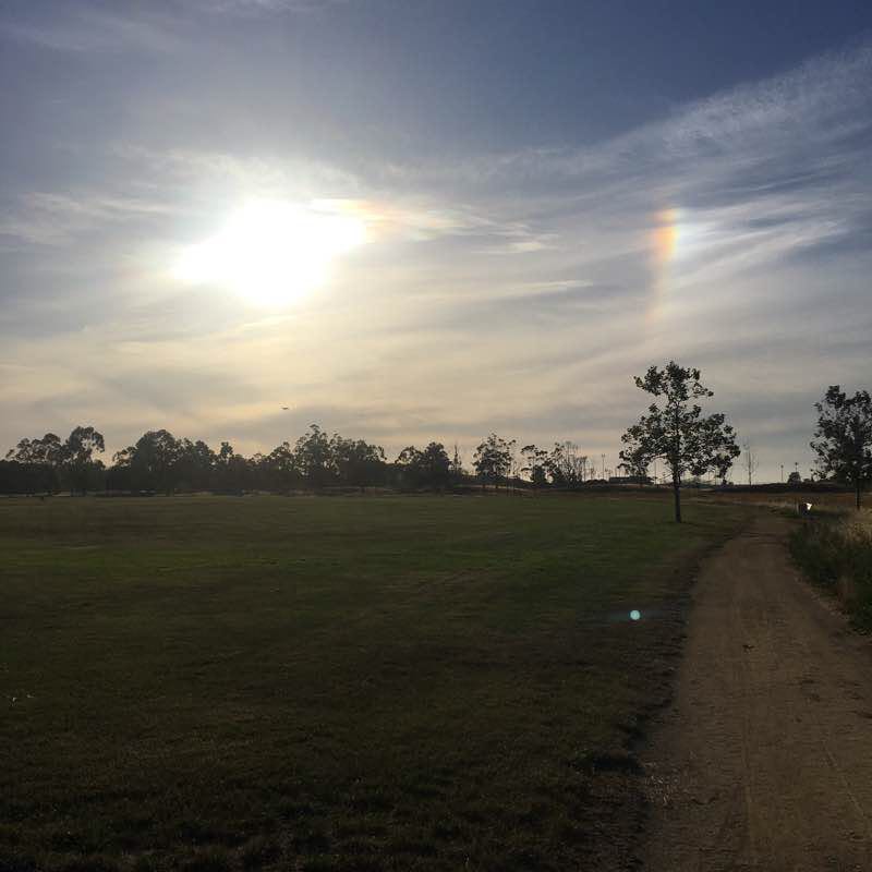 Baylands Park trails Walk - Sunnyvale, California, USA | Pacer