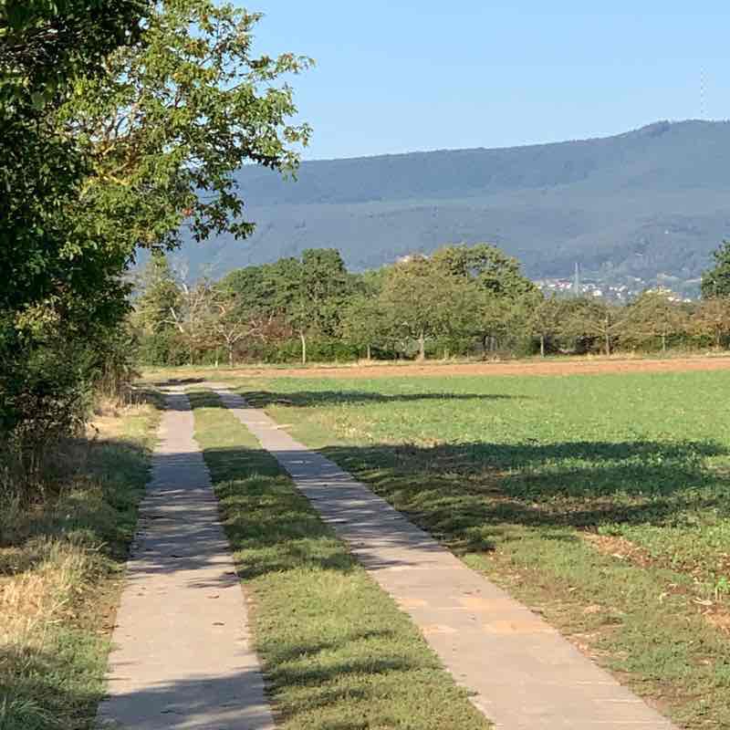 Mussbach / Hassloch Walk Trail - Neustadt an der Weinstraße, Rhineland ...