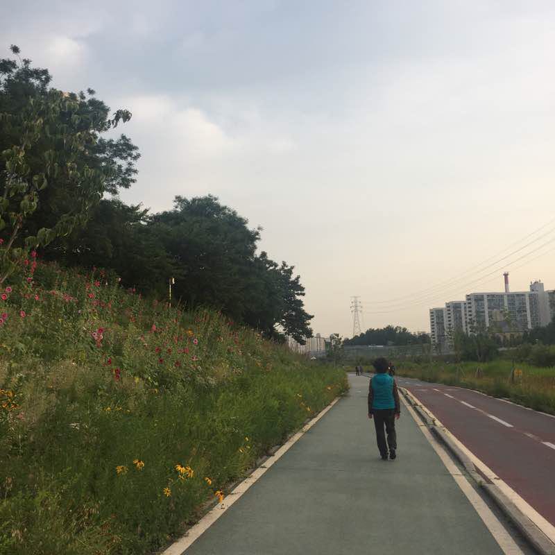 Jungnangcheon Walk Trail - Dobong-gu, Seoul, South Korea | Pacer