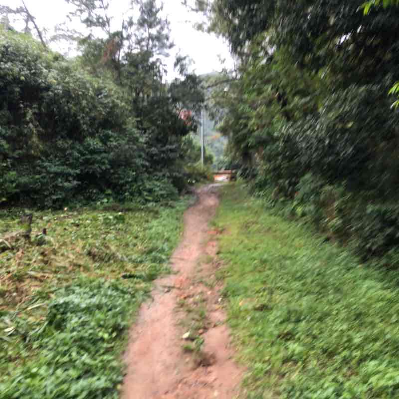 빅 탭을 눌러 Pauba로 | Walking Map