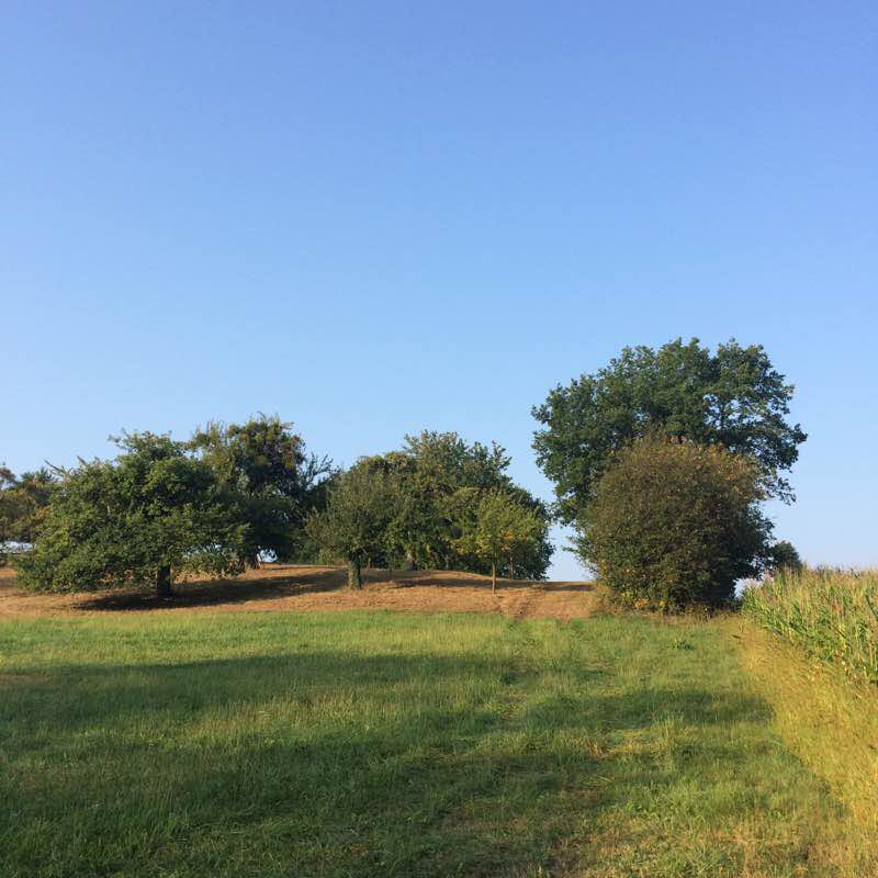 Brensbach Walk Trail - Hesse, Germany | Pacer