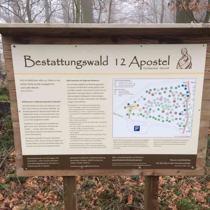 Brensbach/ Rodensteinstraße Walk Trail - Hesse, Germany | Pacer