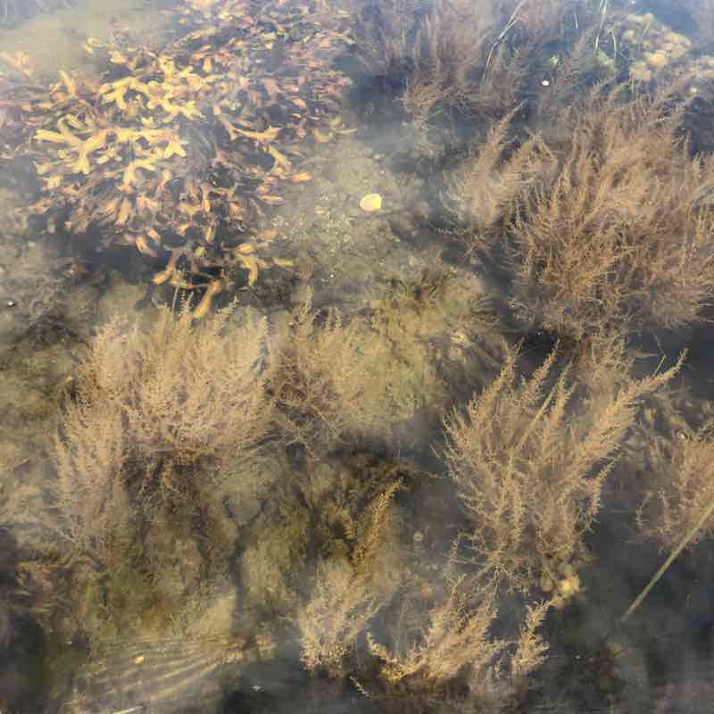 Paddle | Walking Map