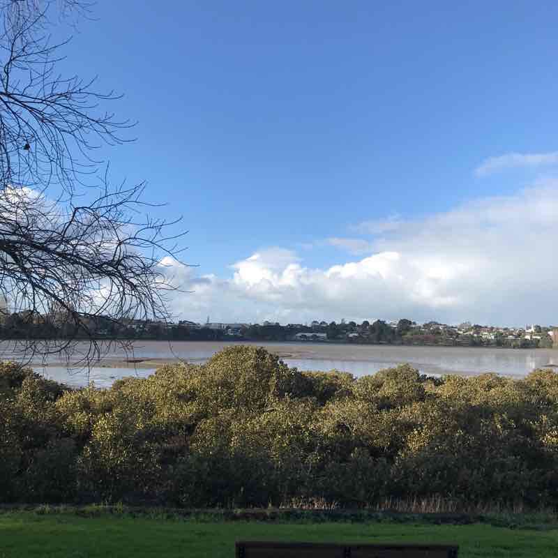 Panmure Basin in Auckland | Walking Map