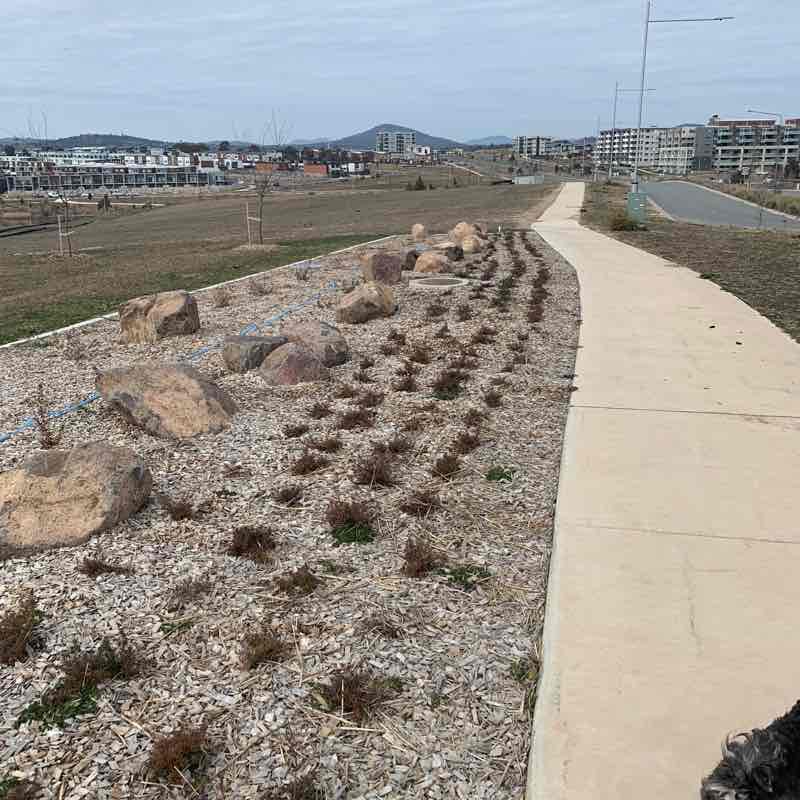 North Coombs park loop Walk - Australian Capital Territory, Australia ...