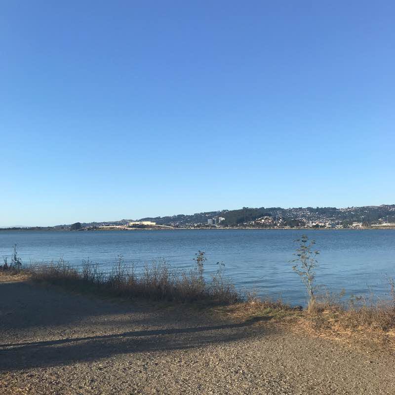 The Berkeley Marina in California | Walking Map