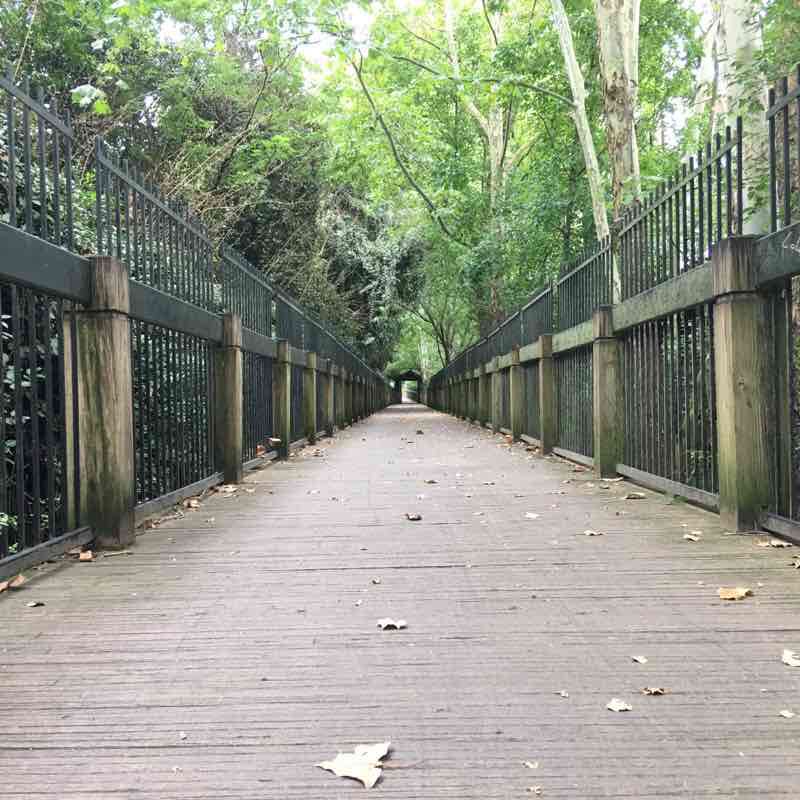 Rotary Park to Downtown Walk - Columbus, Georgia, USA | Pacer