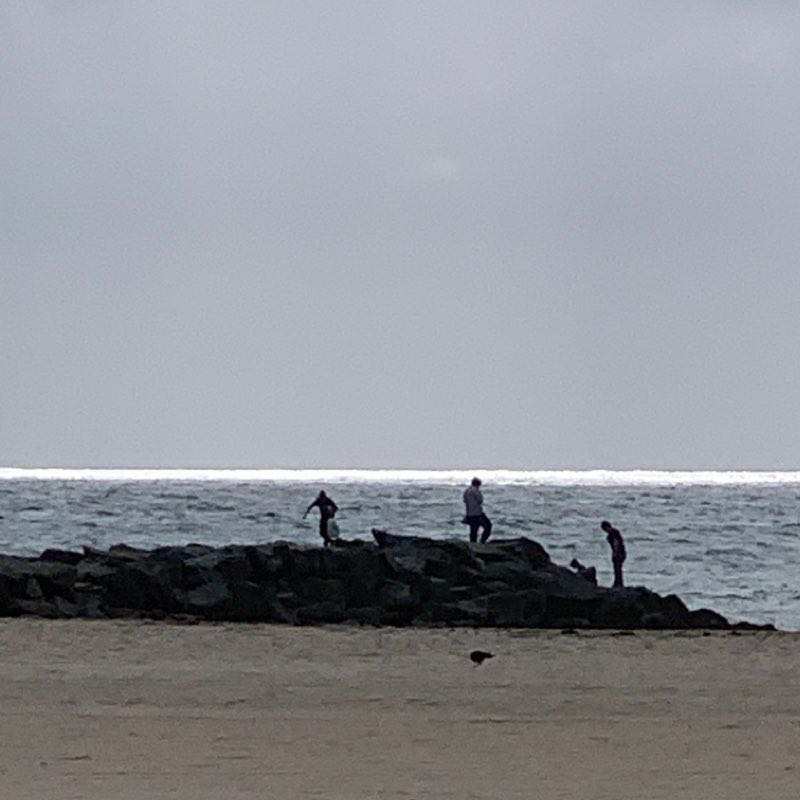 Newport Beach River Jetties Loop. Walk Trail - California, USA | Pacer