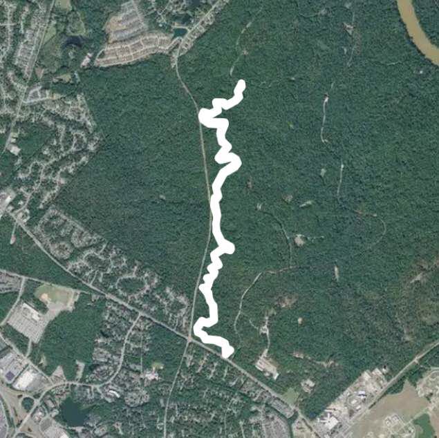 Harbison State Forest Walk Trail - Columbia, South Carolina, USA | Pacer