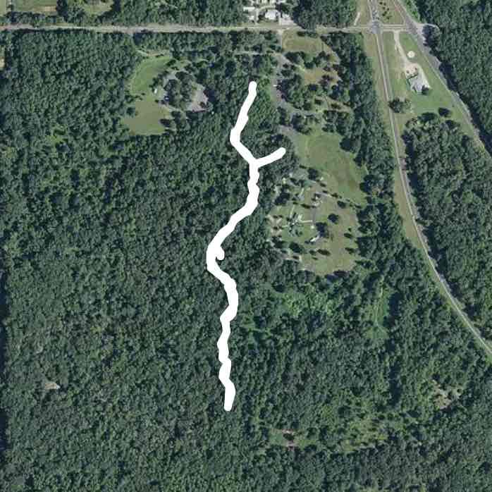 Santos trailhead Hike - Ocala, Florida, USA | Pacer