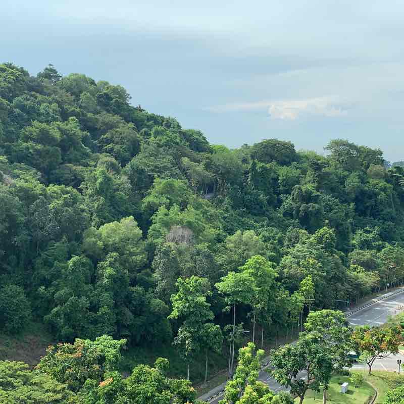Hort Park to Henderson Waves to Mt Faber Peak | Walking Map