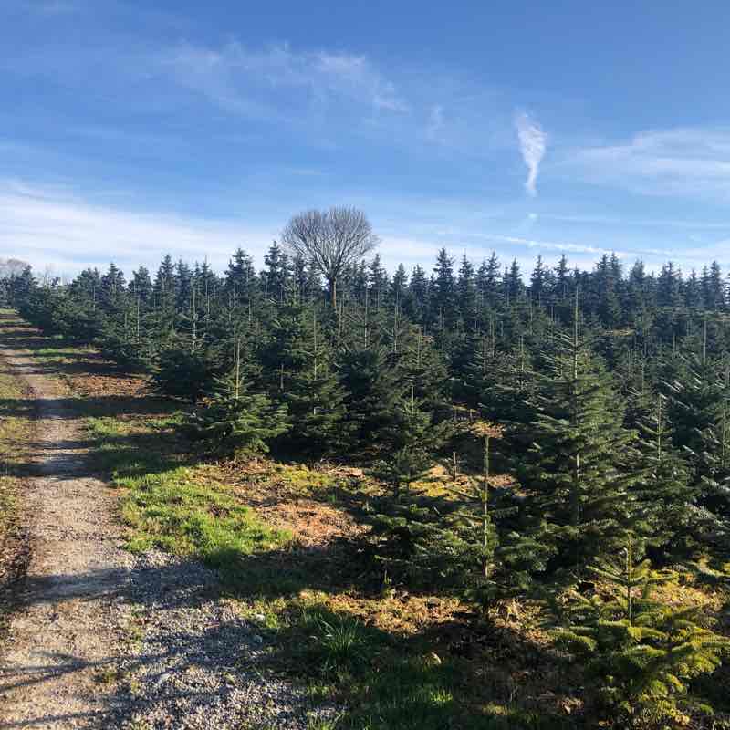 Hitzkirch Walk Trail - Canton of Lucerne, Switzerland | Pacer